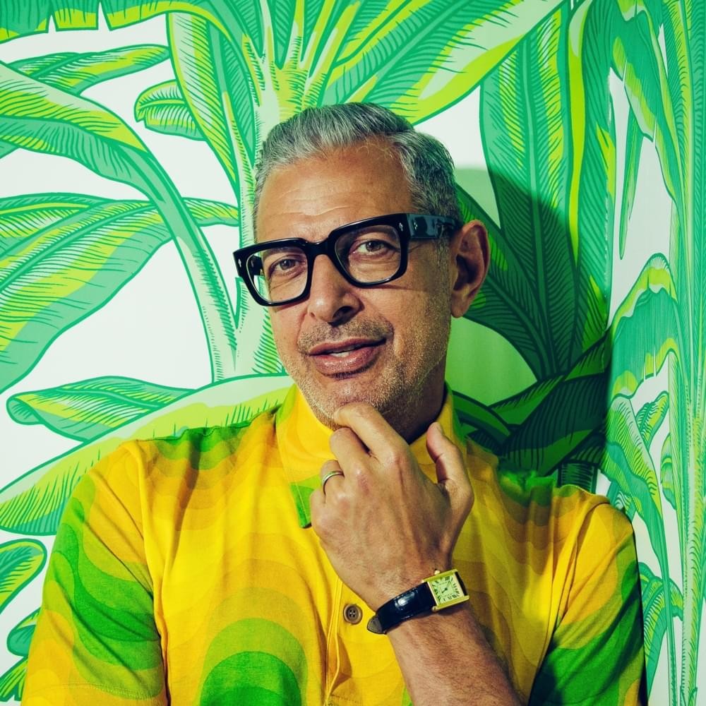 Letras de canciones de Jeff Goldblum Lirycs